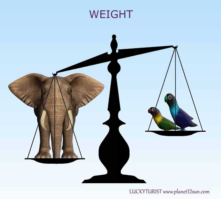 Weight Weight